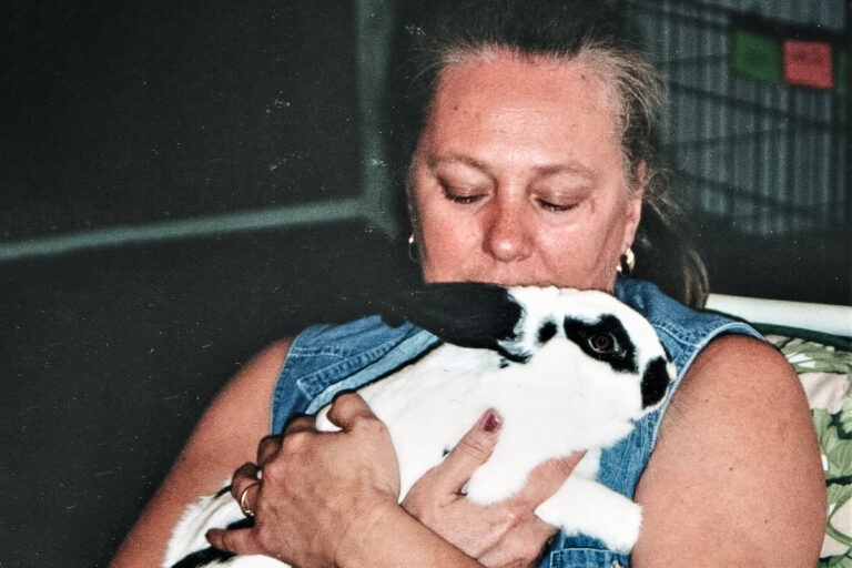 Missy Ott - Rabbit.org