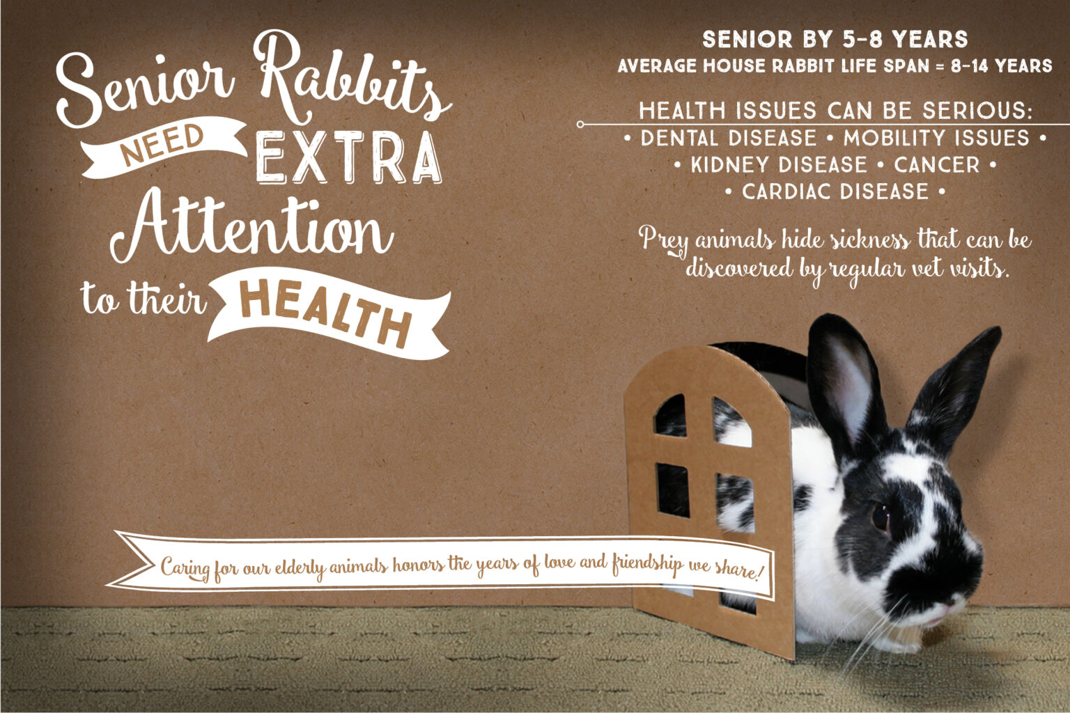 Health - Rabbit.org