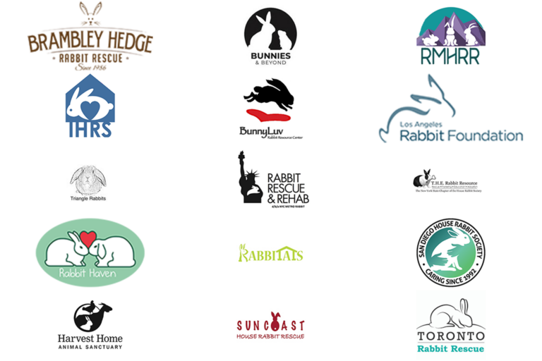 Resources - Rabbit.org