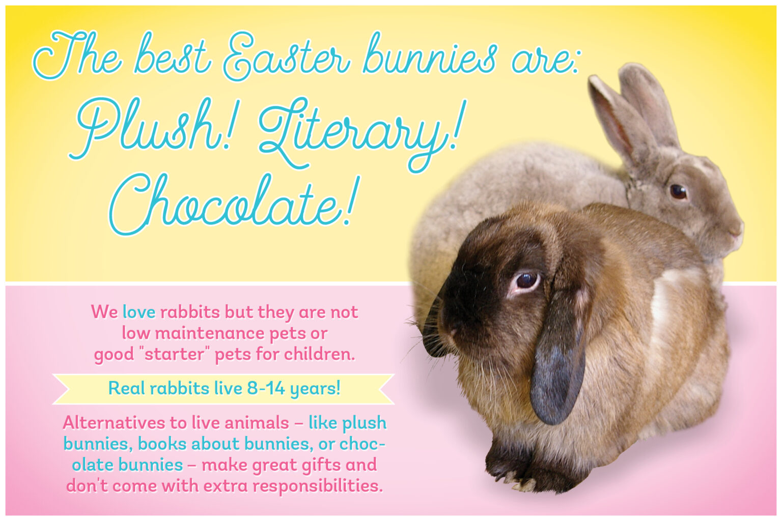 Rabbit Education Library - Rabbit.org