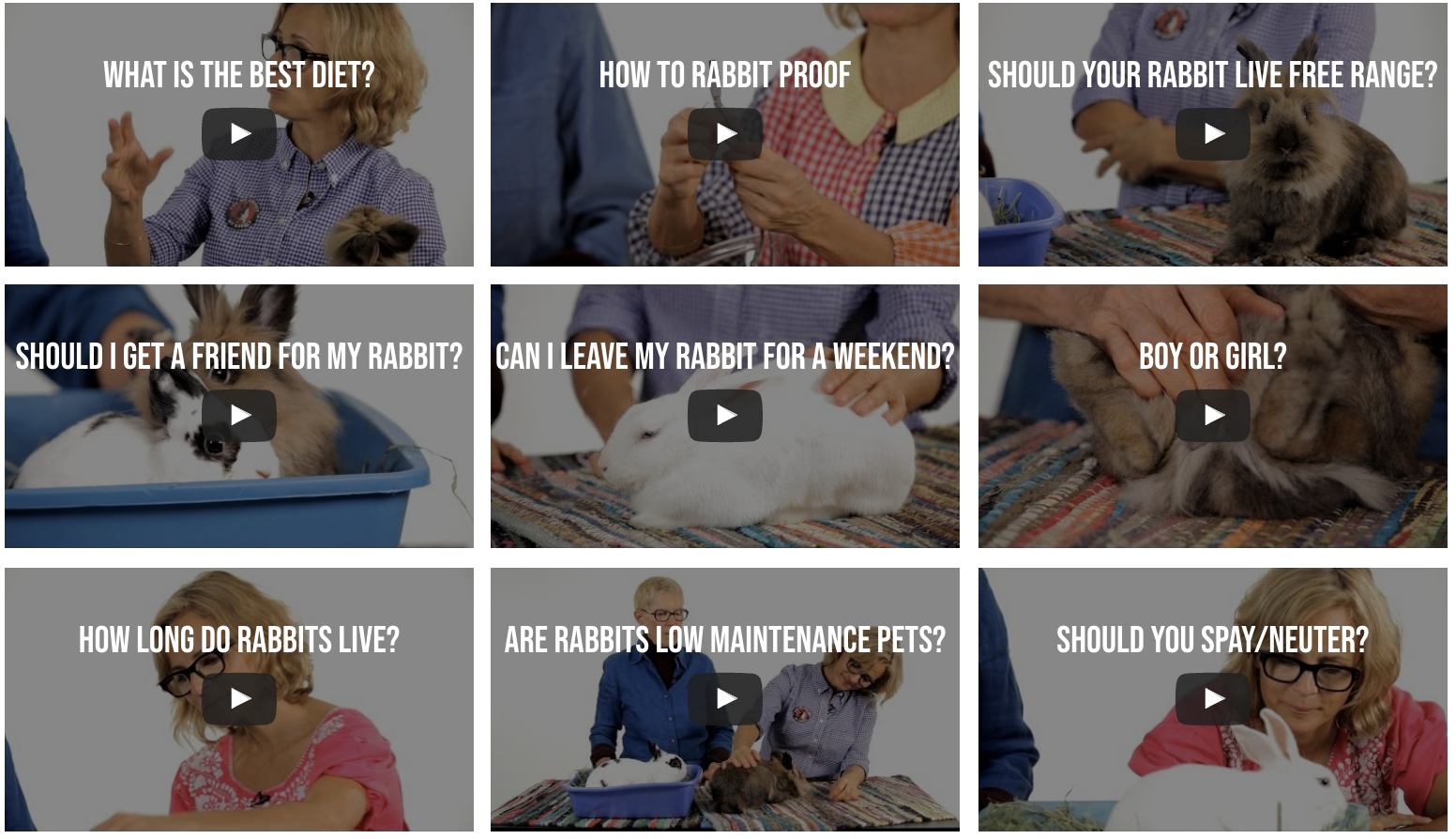 Rabbit Care Videos - Rabbit.org