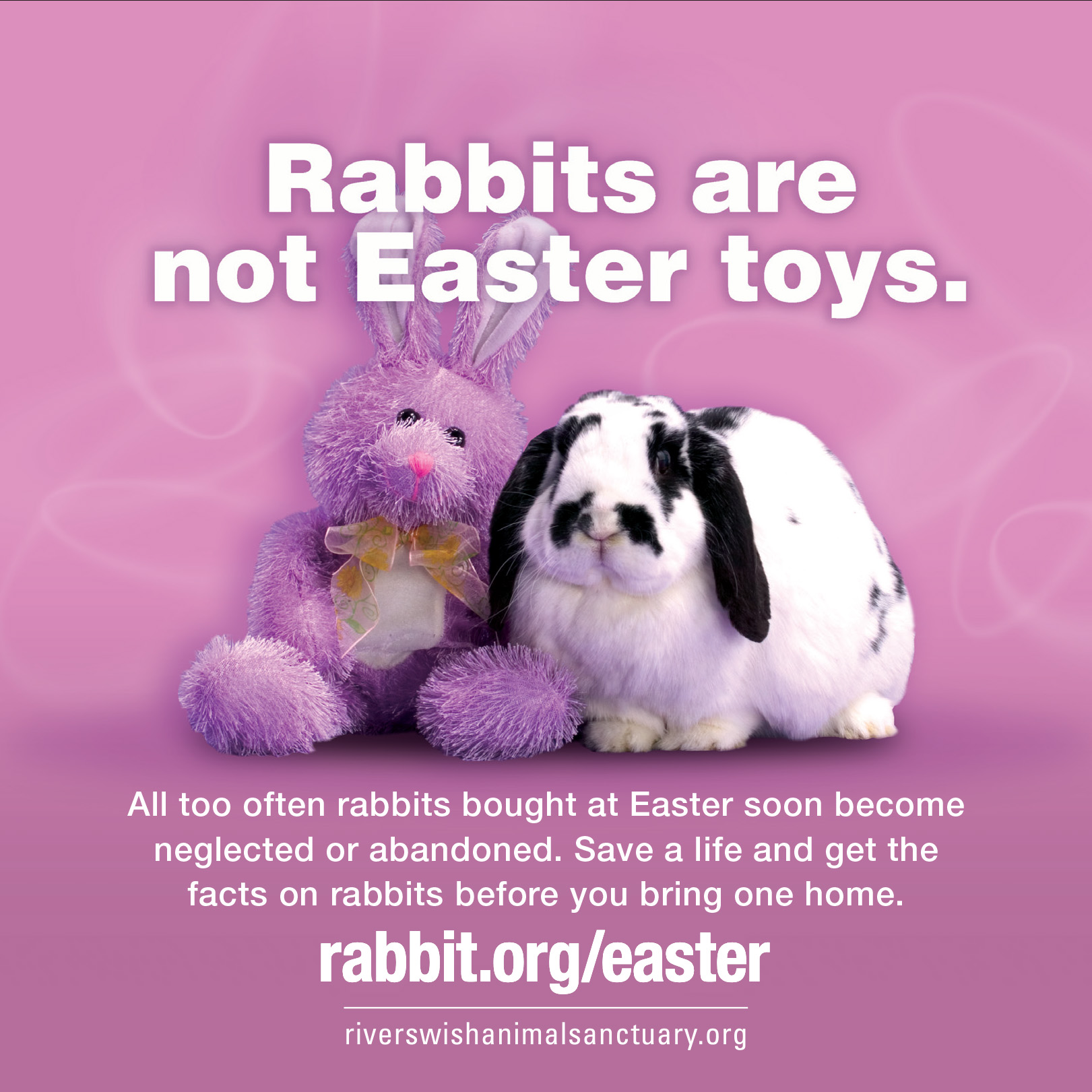 Easter & Rabbits - Rabbit.org