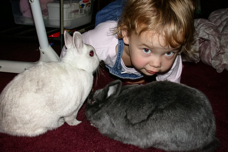 Rabbits and Children: Fostering Compassion at Home