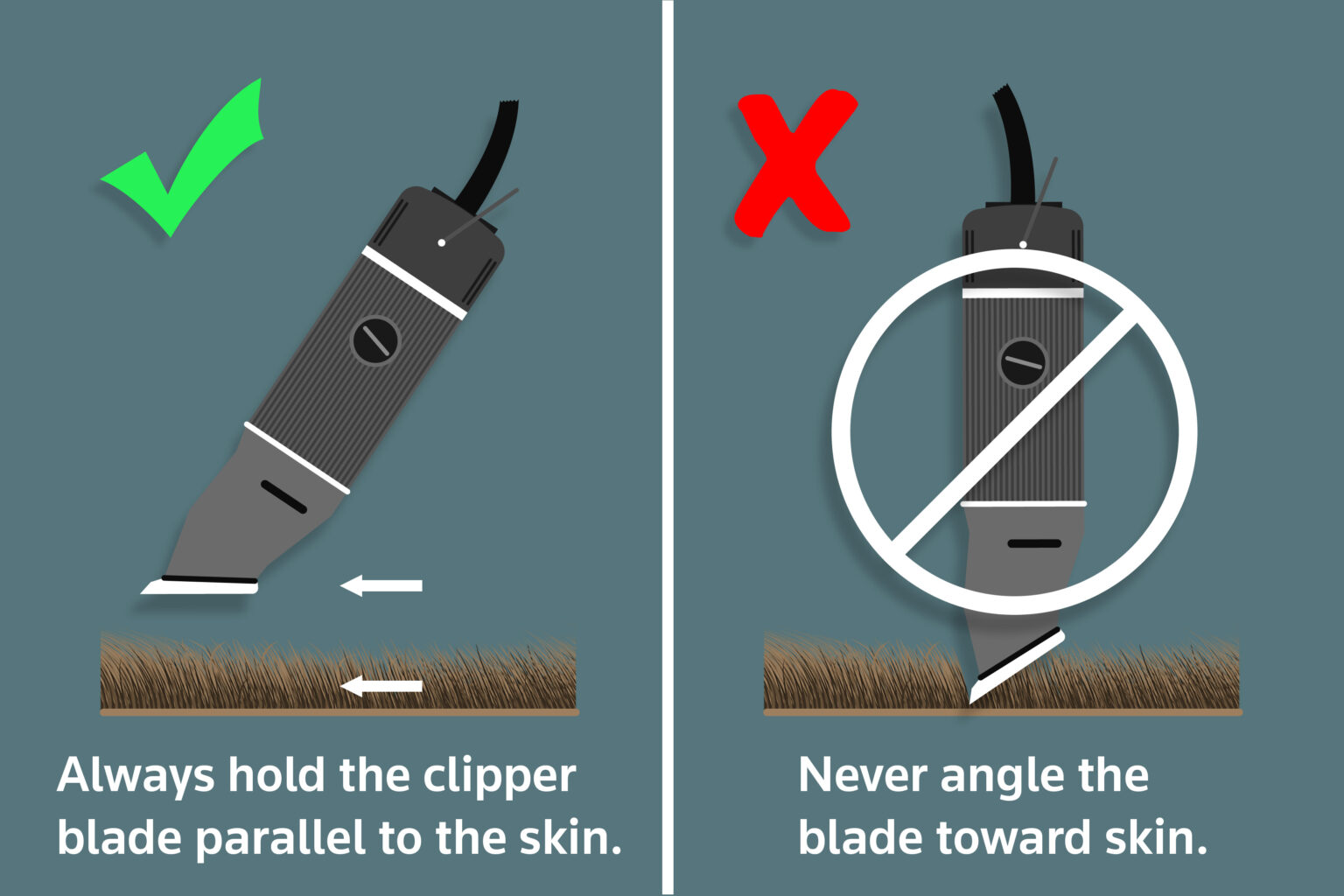 How To Clipper A Rabbit Safely and Kindly
