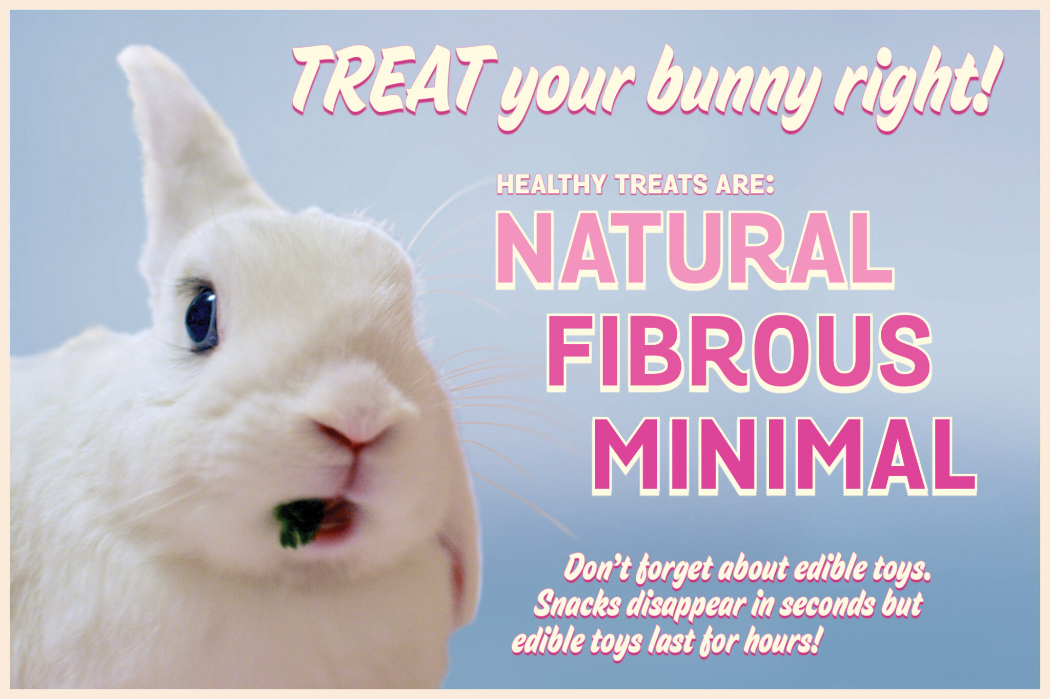 Rabbit Education Library - Rabbit.org