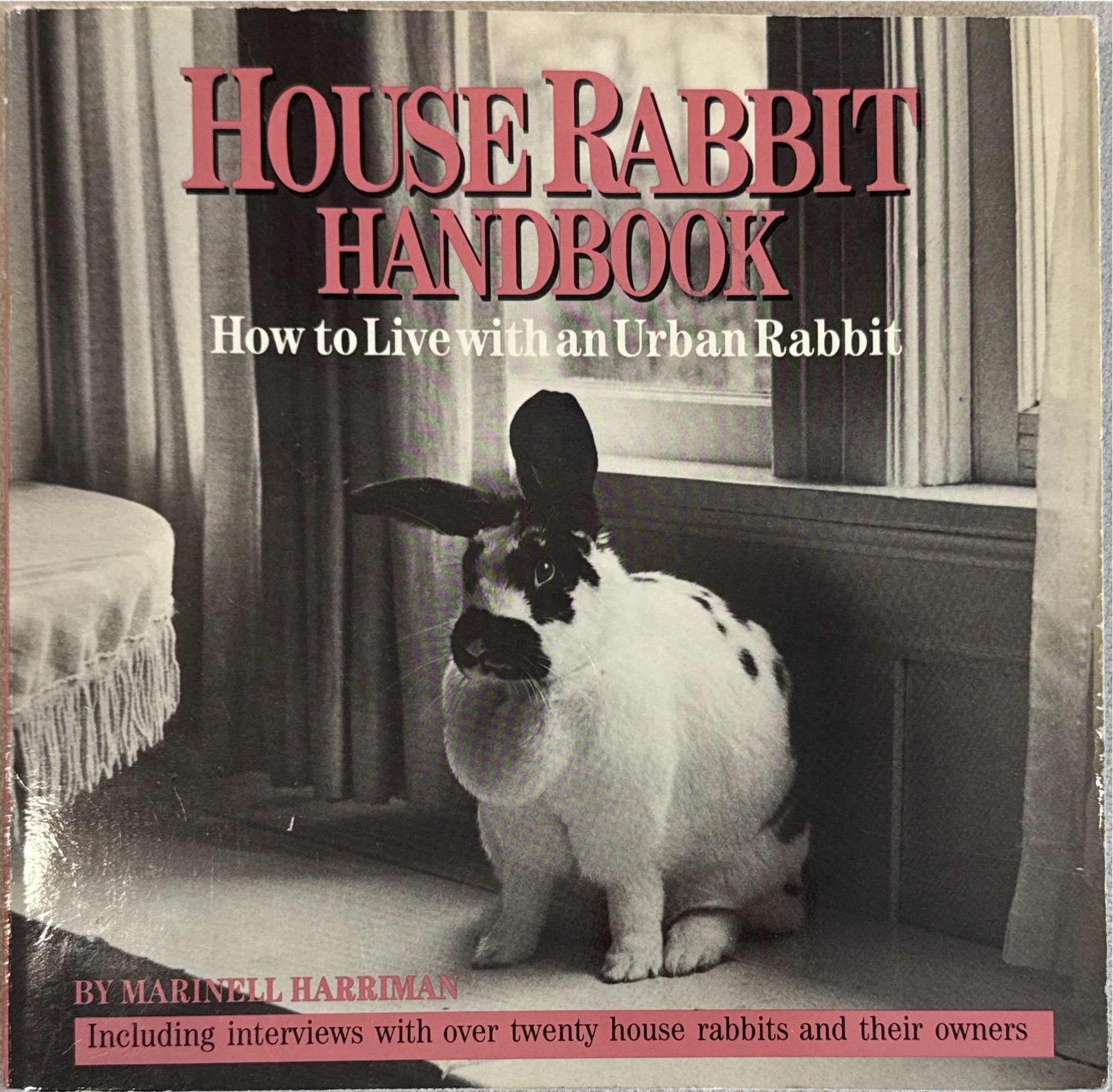 Marinell Harriman in Conversation with Mary Cotter - Rabbit.org